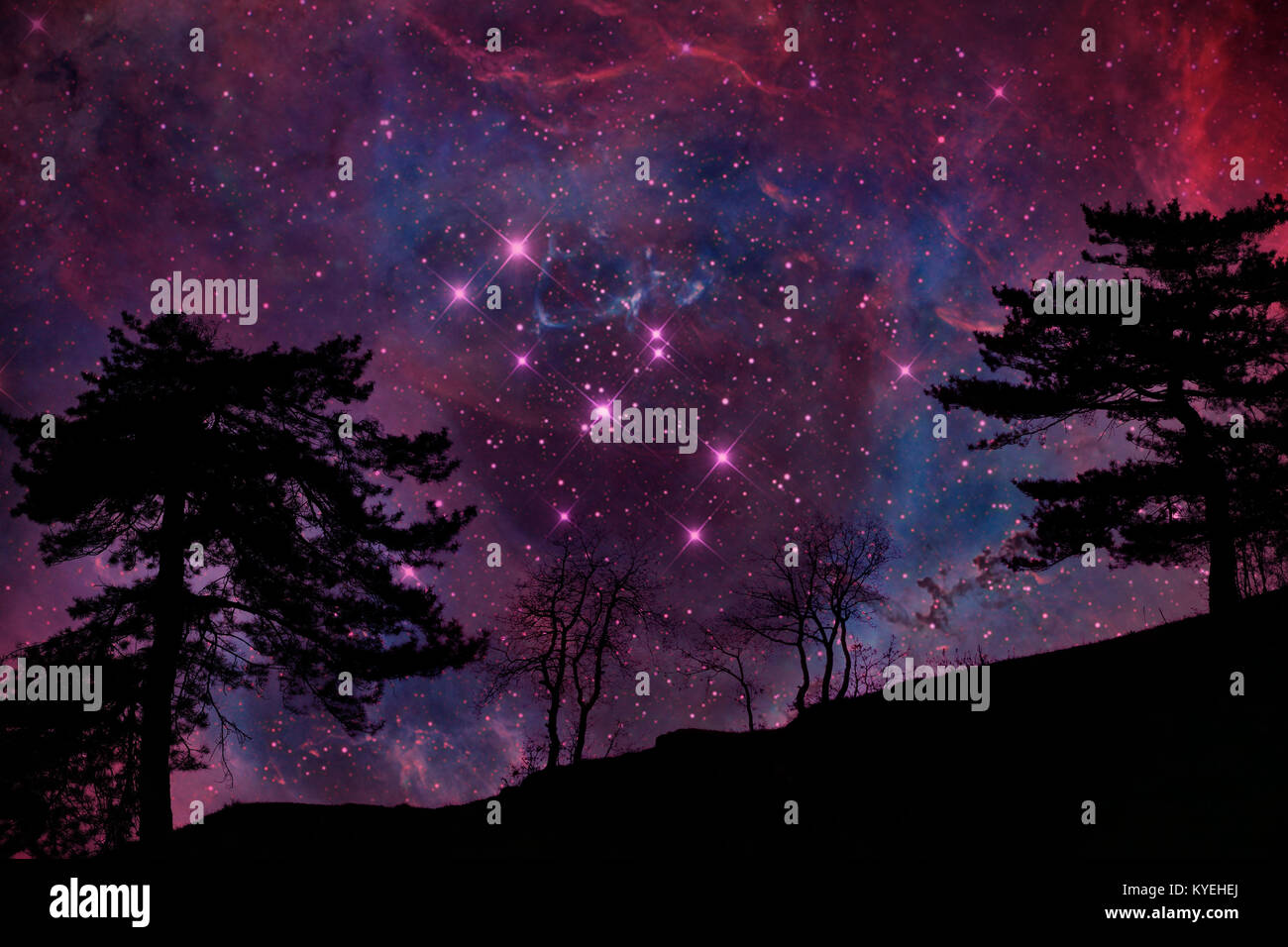 Alien planet with tree silhouette again sky with many stars - elements ...