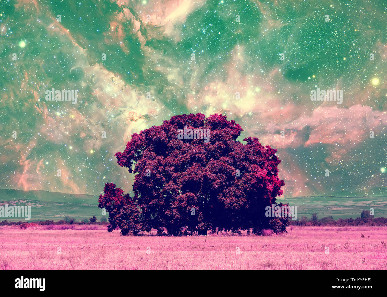 red alien landscape with alone tree over the night sky with many stars ...