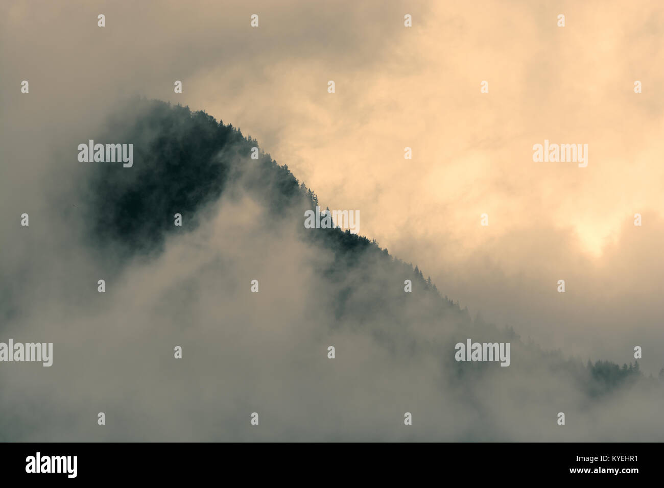 Slant skyline of forest on mountain slope overlapped with heavy orange ...