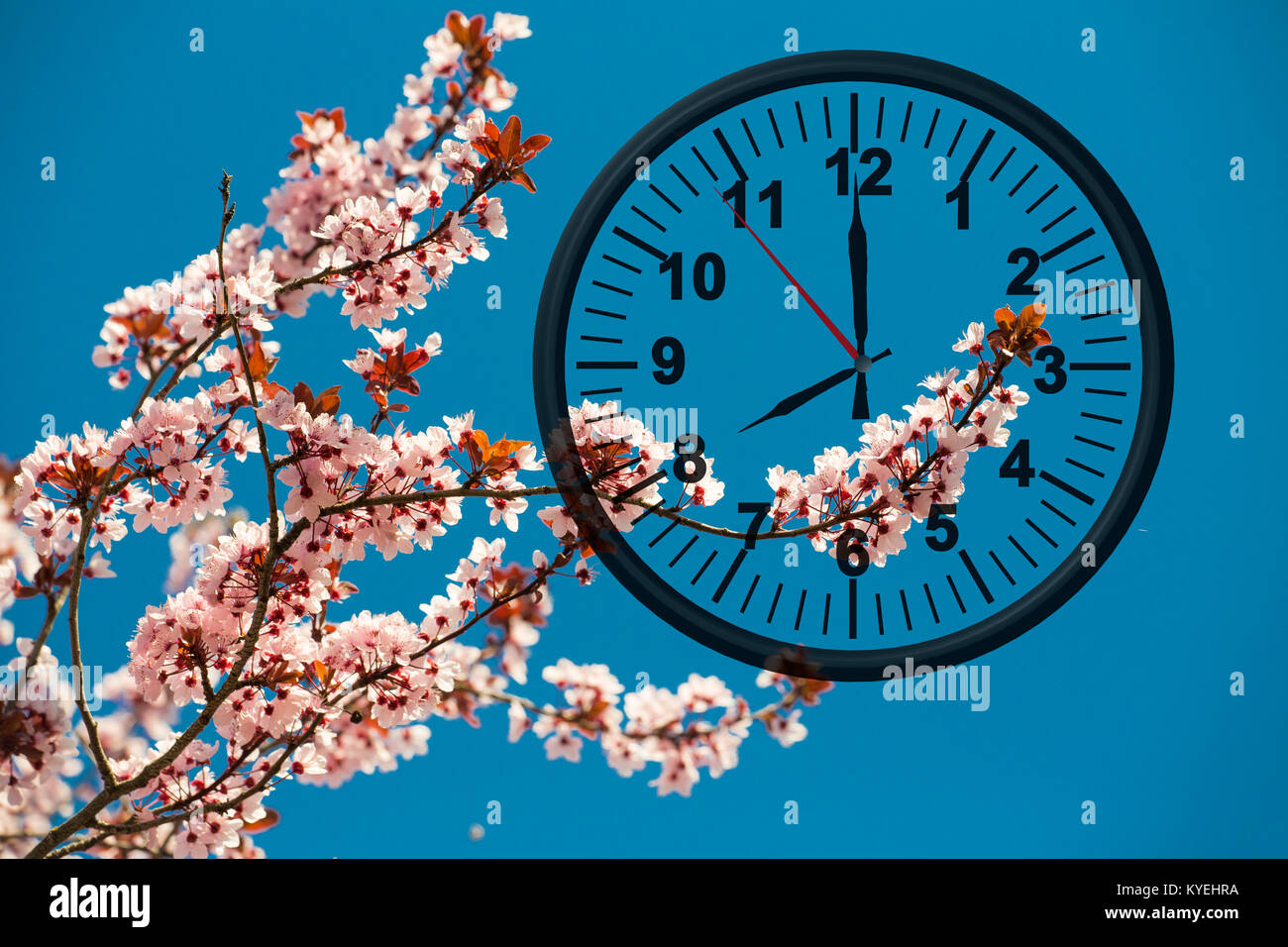 Clock and flowers hi-res stock photography and images - Alamy