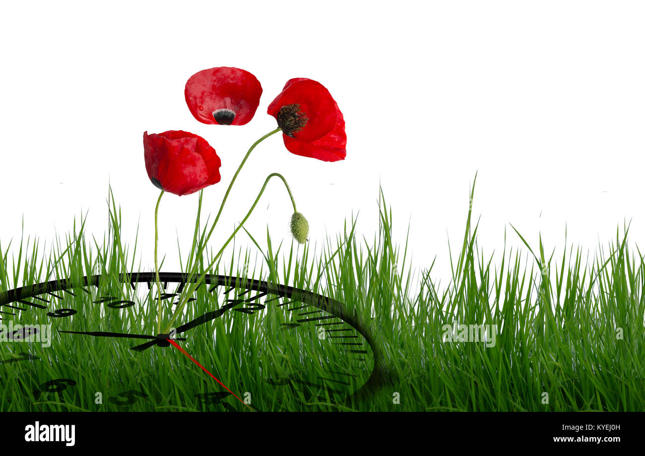 Clock and flowers hi-res stock photography and images - Alamy