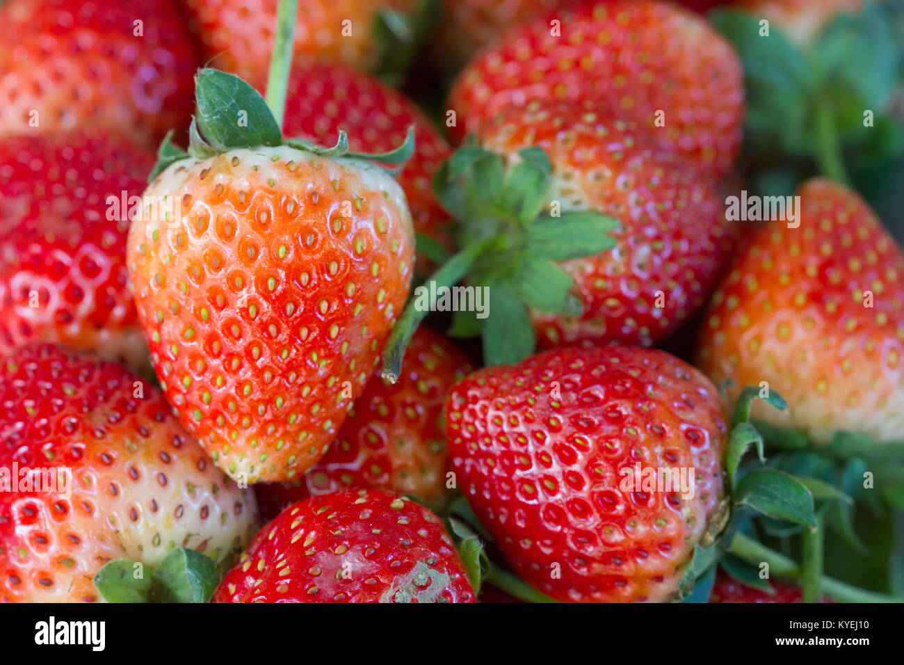 close up of Strawberry background, Fresh organic berries Stock Photo ...