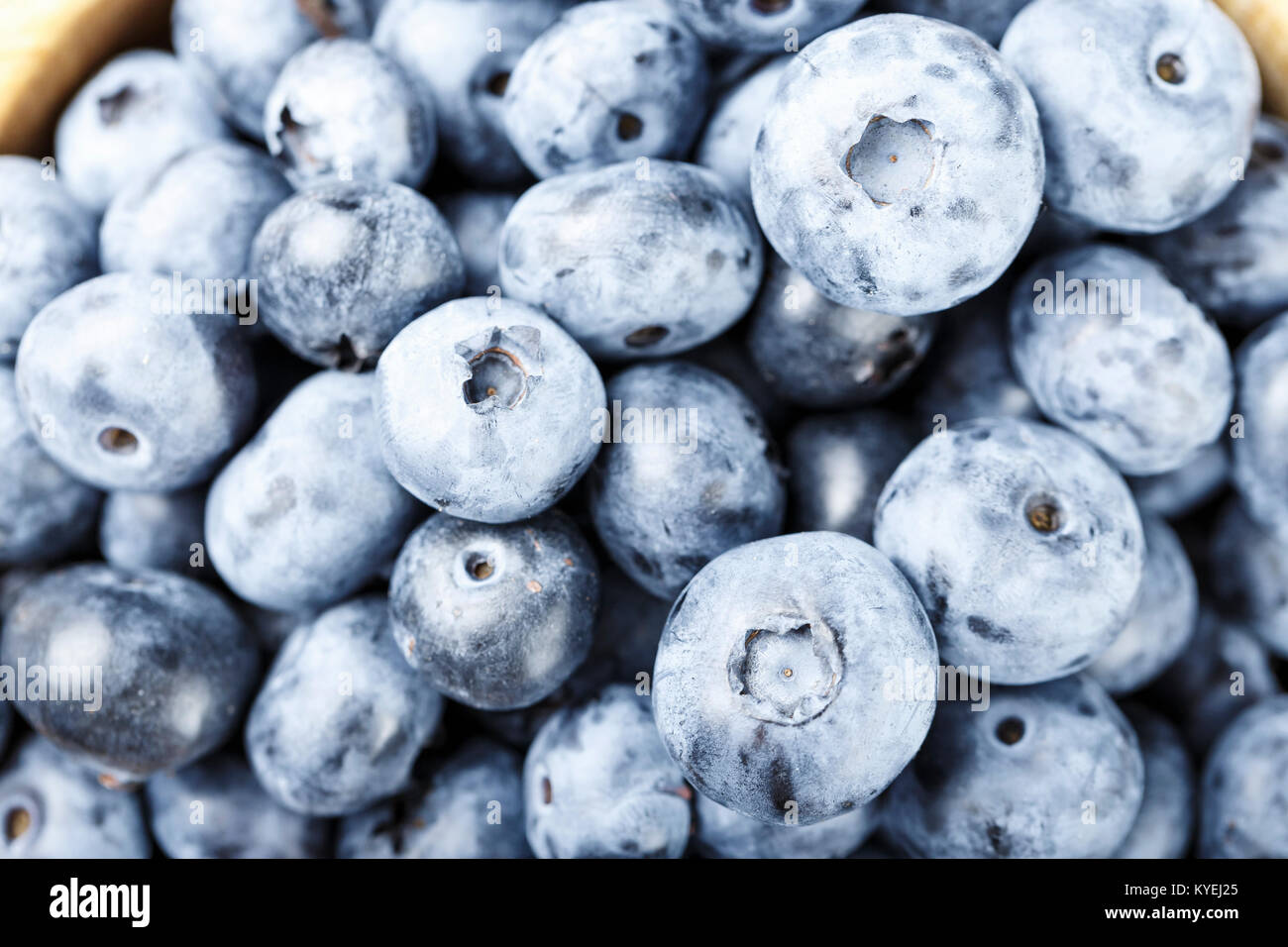 Bog whortleberry hi-res stock photography and images - Alamy