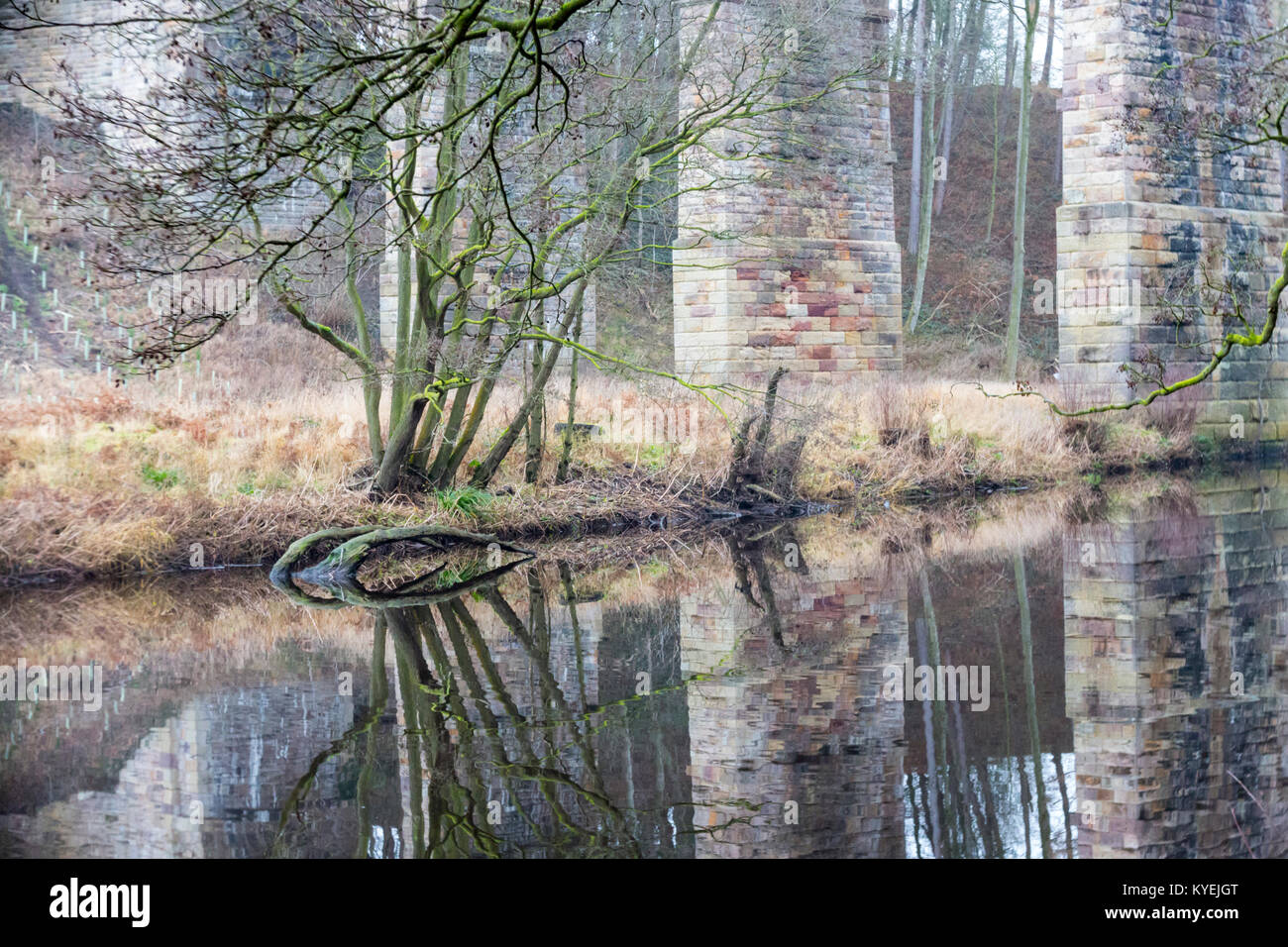 The Nidd Viaduct at Bilton, Harrogate reflected in the river Stock ...