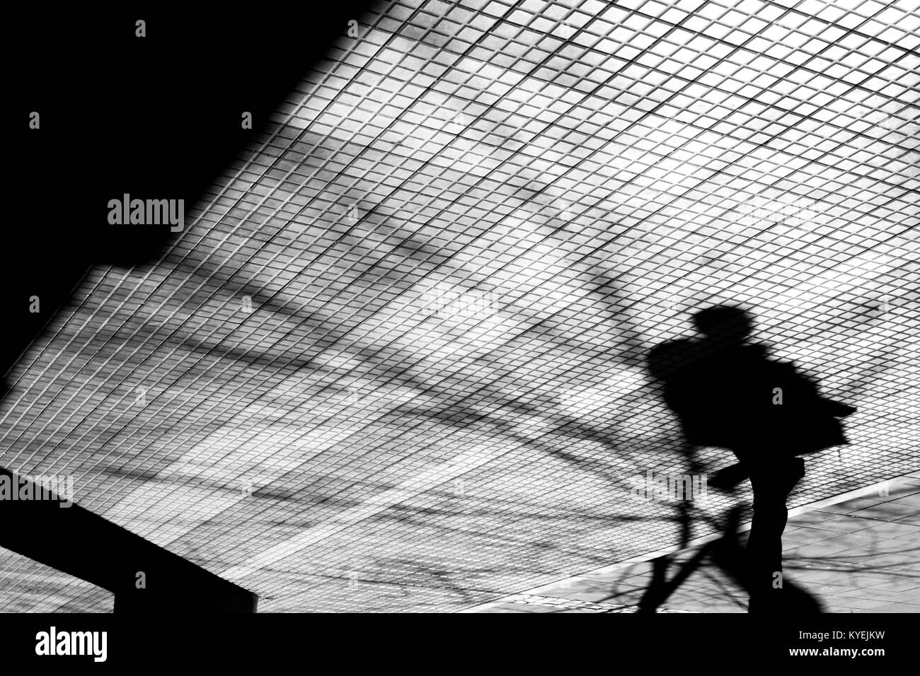 Blurry silhouette shadow of a person walking under a bare tree on a ...