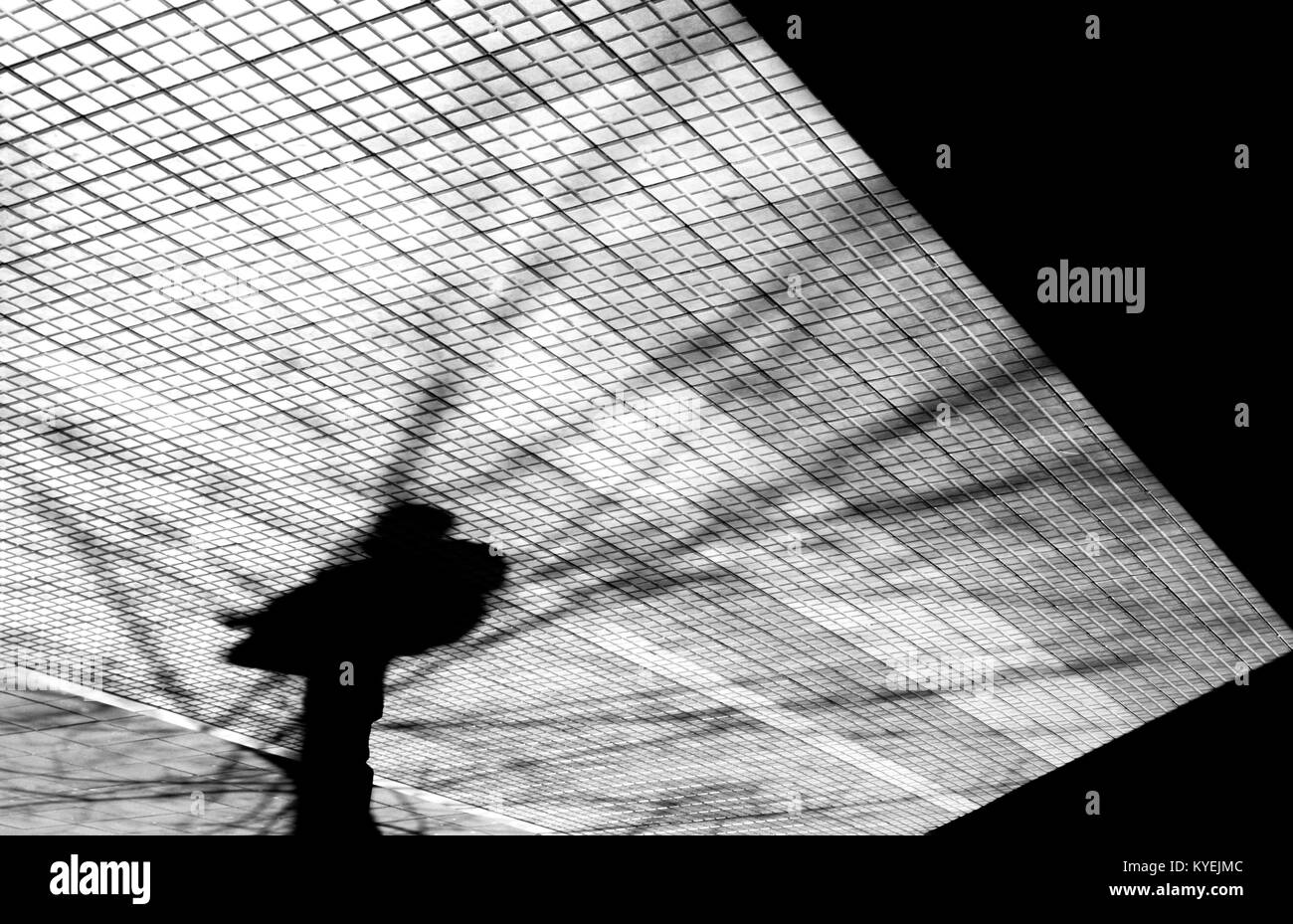 Blurry silhouette shadow of a person standing under a bare tree on a ...