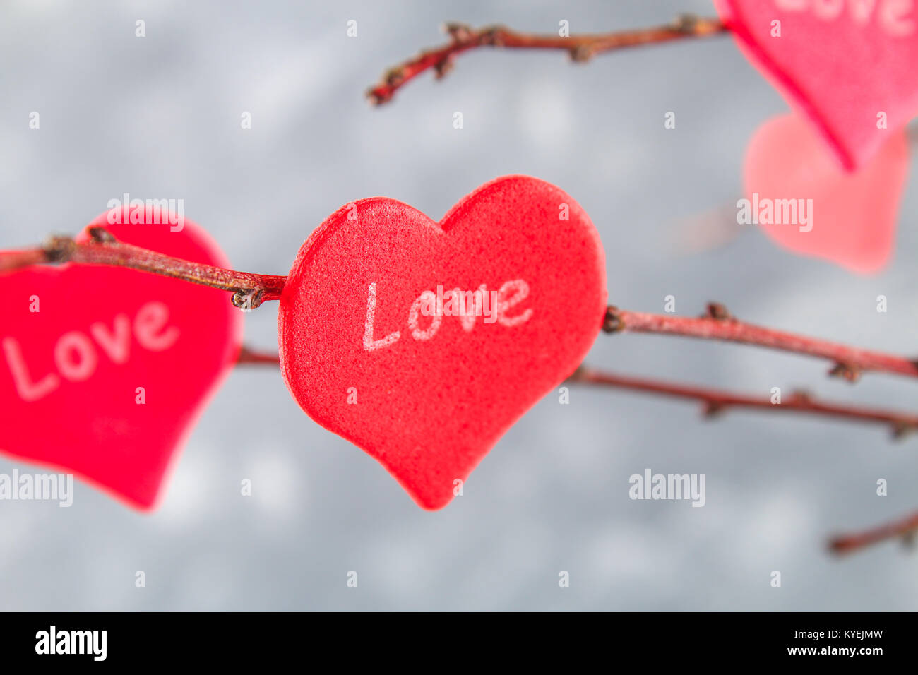 Red hearts with an inscription Love hang on branches on a gray concrete ...