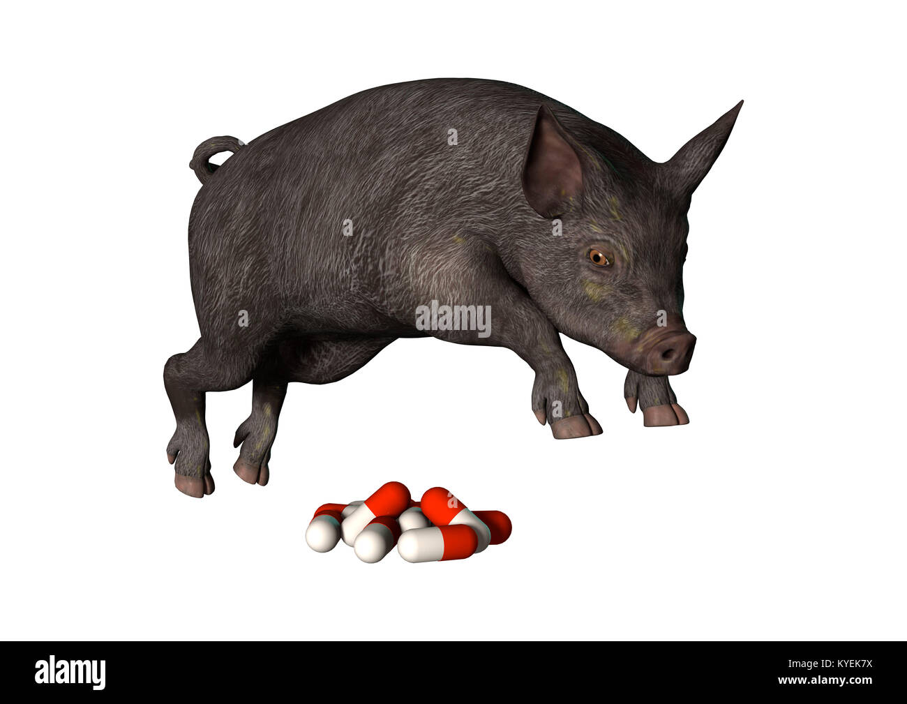 3D rendering of a dark pig jumping over pills isolated on white ...