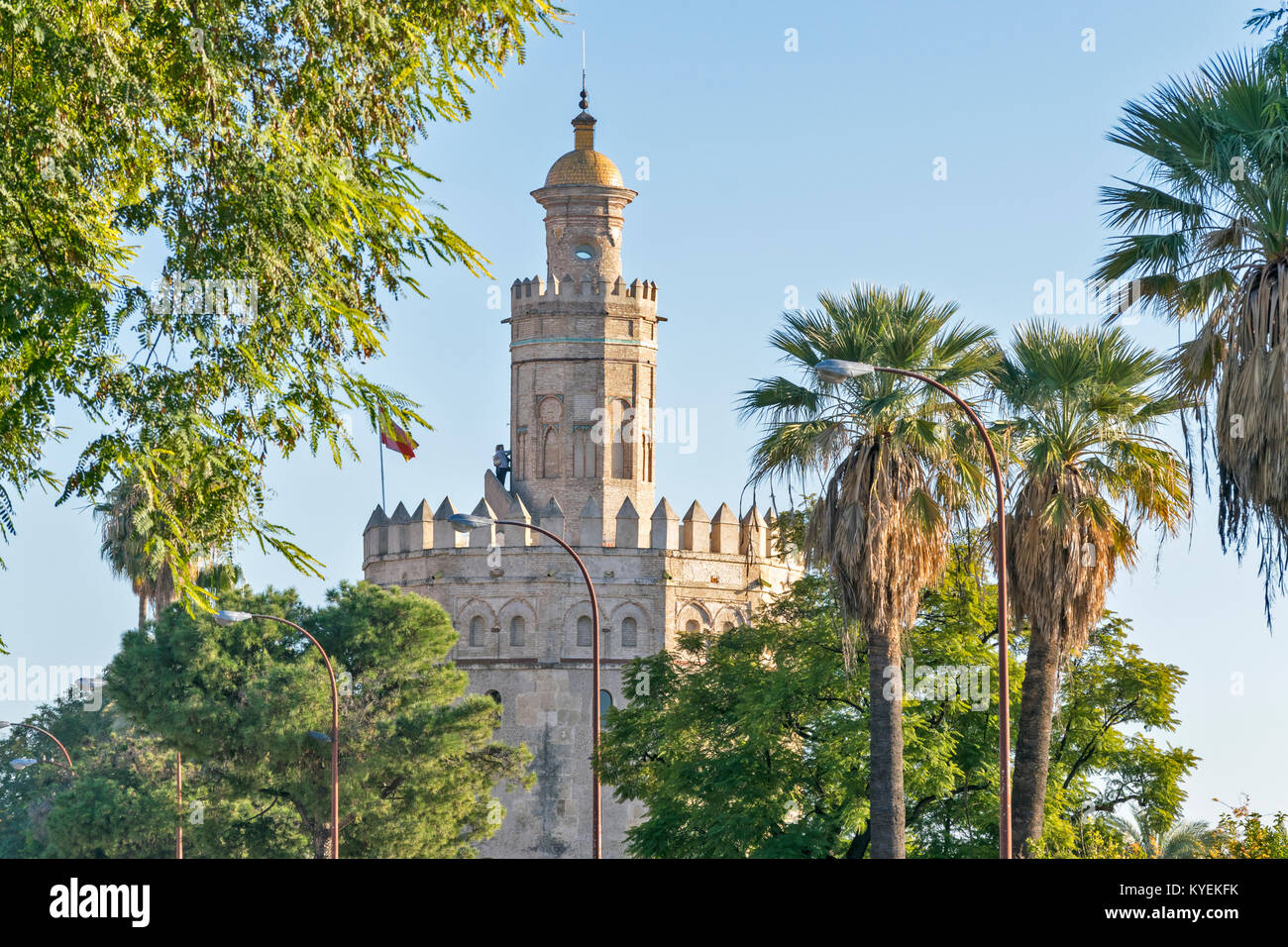 Monument surrounded by palm trees hi-res stock photography and images ...