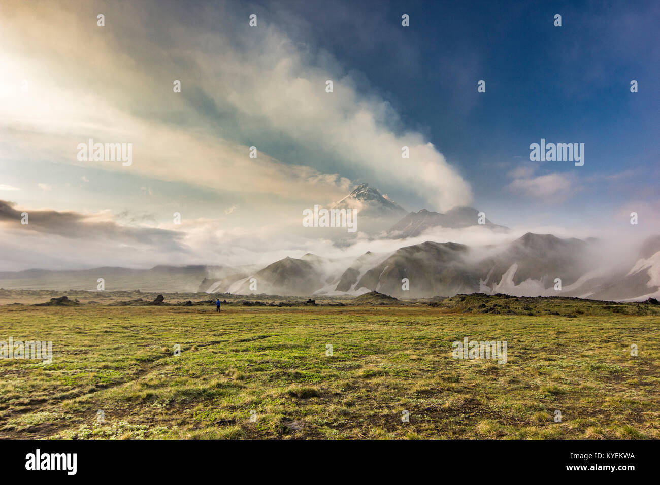 green field near active volcanoes Bezymyannyi and Kamen', Kamchatka ...