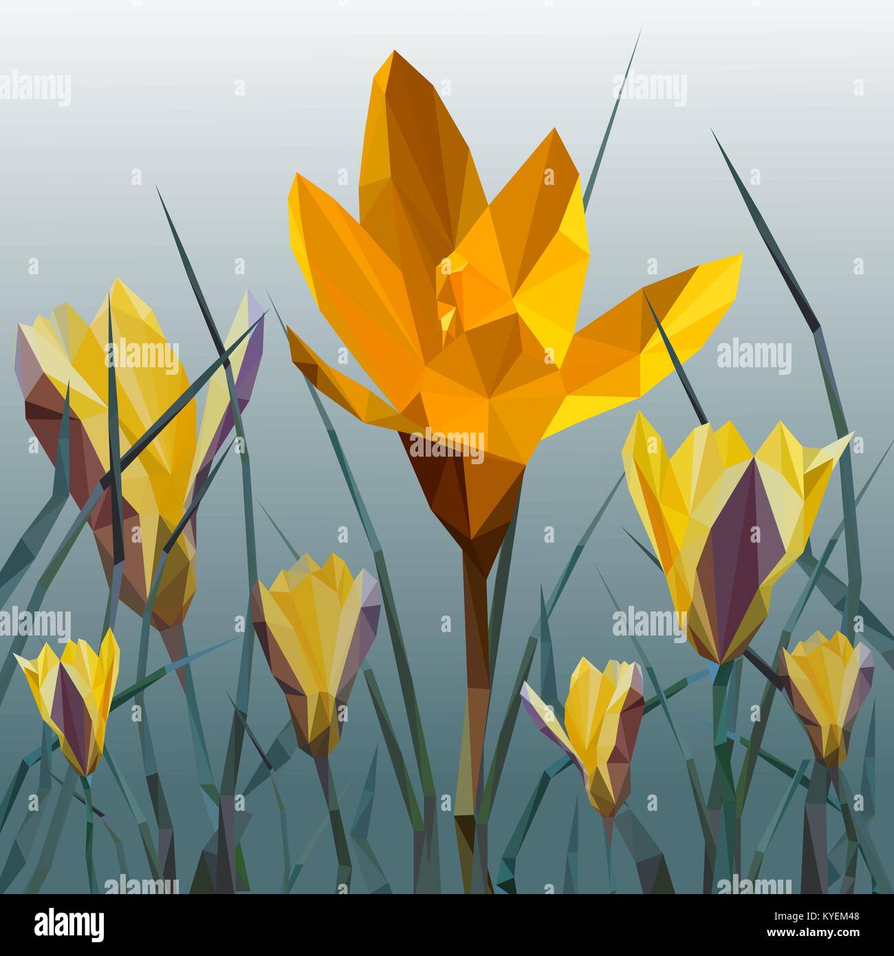 Yellow crocus plants Stock Vector Images - Alamy