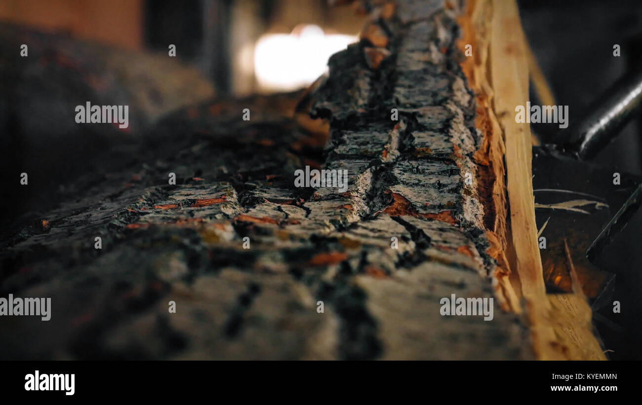 Inside a sawmill hi-res stock photography and images - Alamy