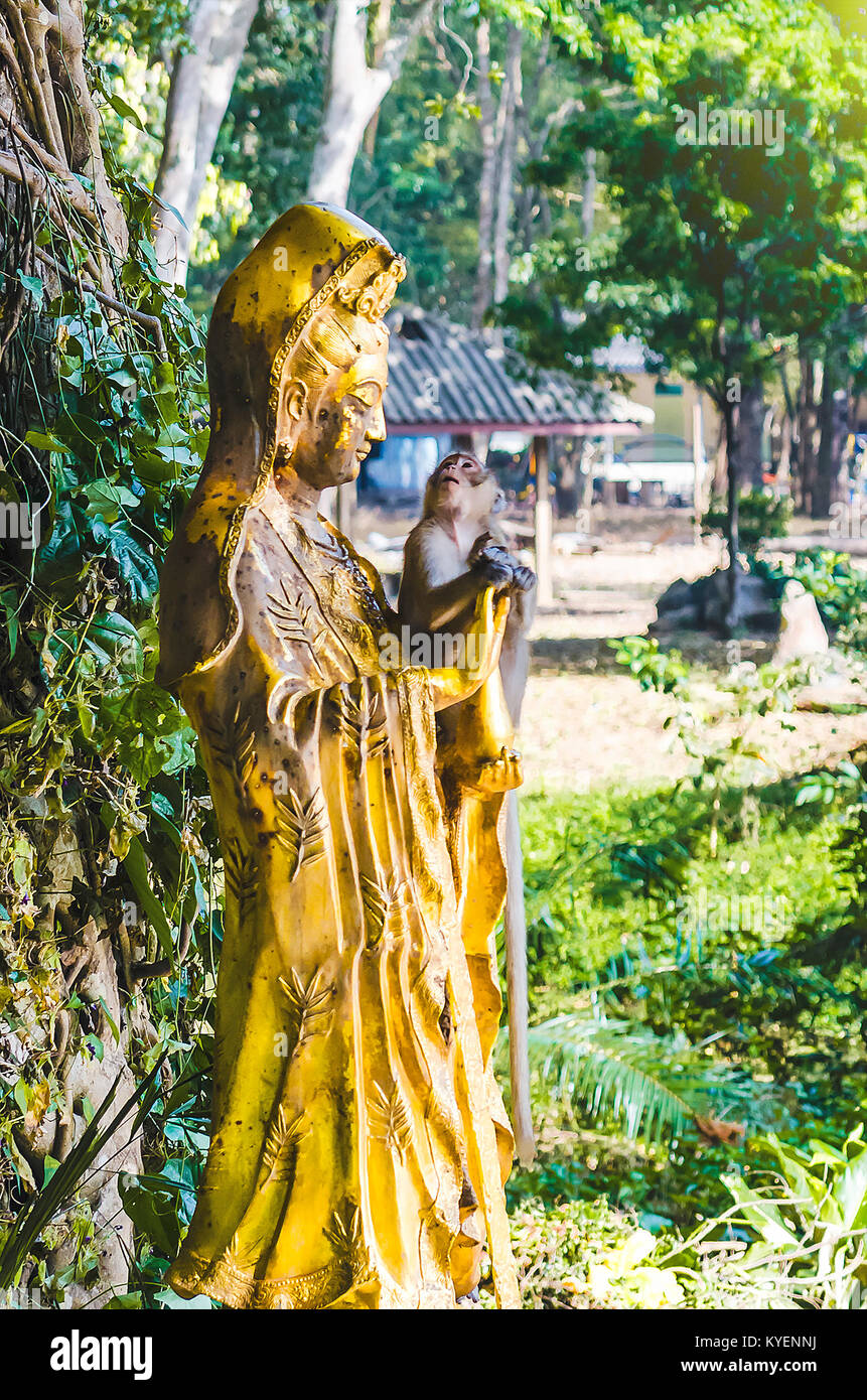 Monkey on the Buddhist statue. Golden statue and funny monkey in ...