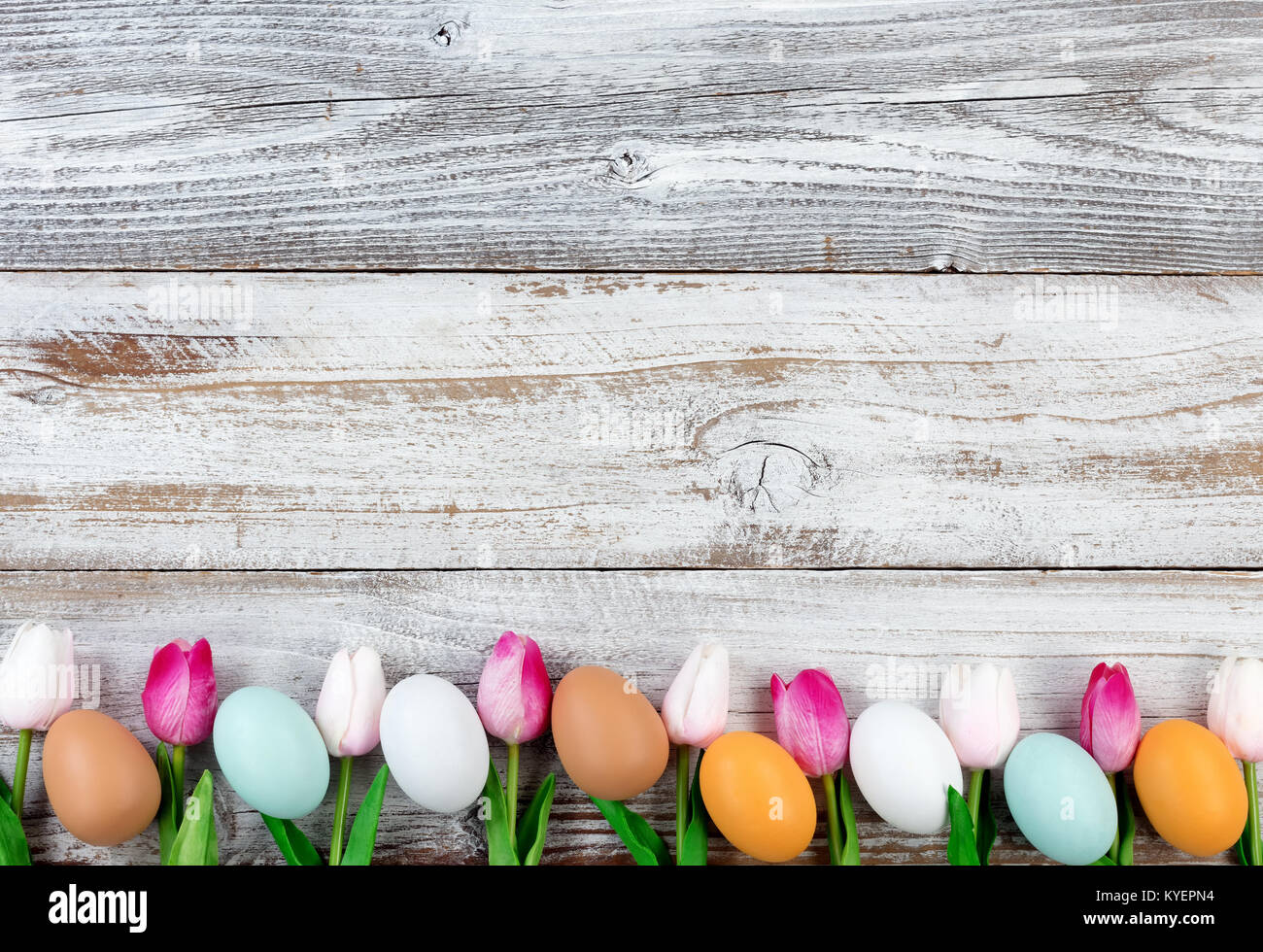 Real flower border hi-res stock photography and images - Alamy