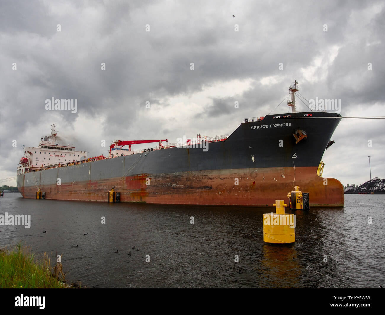 A photograph of the Spruce Express, a 2006-built cargo ship, captured in the Port of Amsterdam ...
