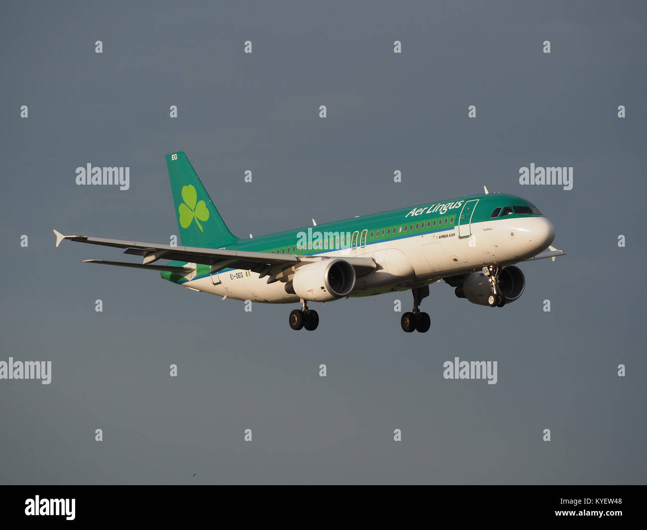 EI-DEG Aer Lingus Airbus A320-214 at Schiphol (AMS - EHAM), The ...