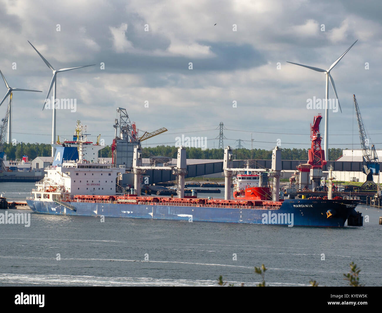 A photograph of the Mardinik, a modern cargo ship registered under IMO ...