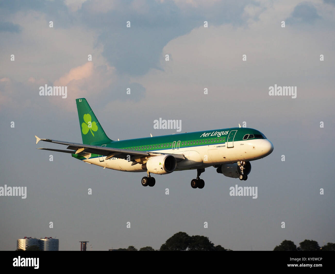 EI-DEJ Aer Lingus Airbus A320-214 landing at Schiphol (EHAM-AMS) runway ...