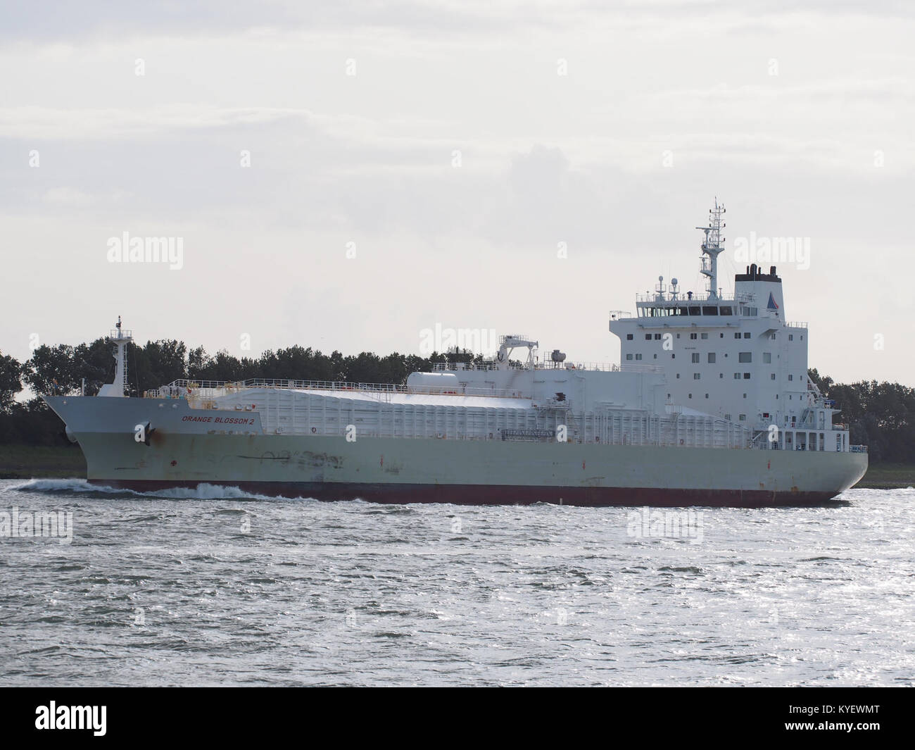 A photograph of the 'Orange Blossom 2' ship, taken in the Nieuwe ...