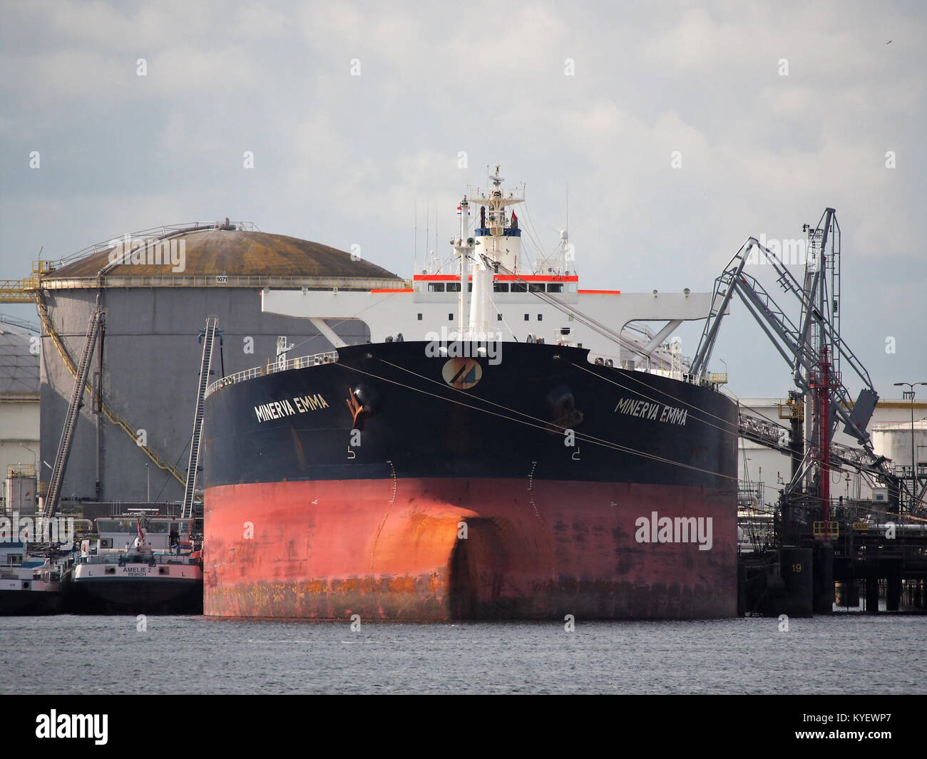 Minerva emma hi-res stock photography and images - Alamy