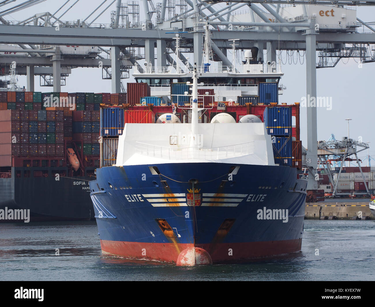 A photograph of the Elite, a container ship built in 2005, captured in ...