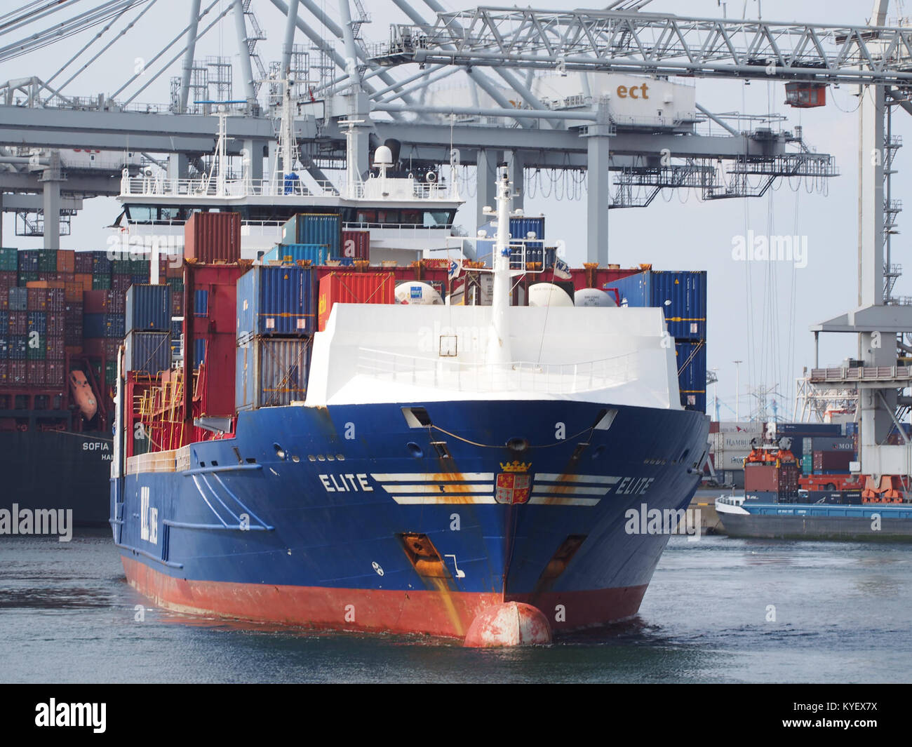 A photograph of the Elite, a cargo ship built in 2005, with the IMO ...