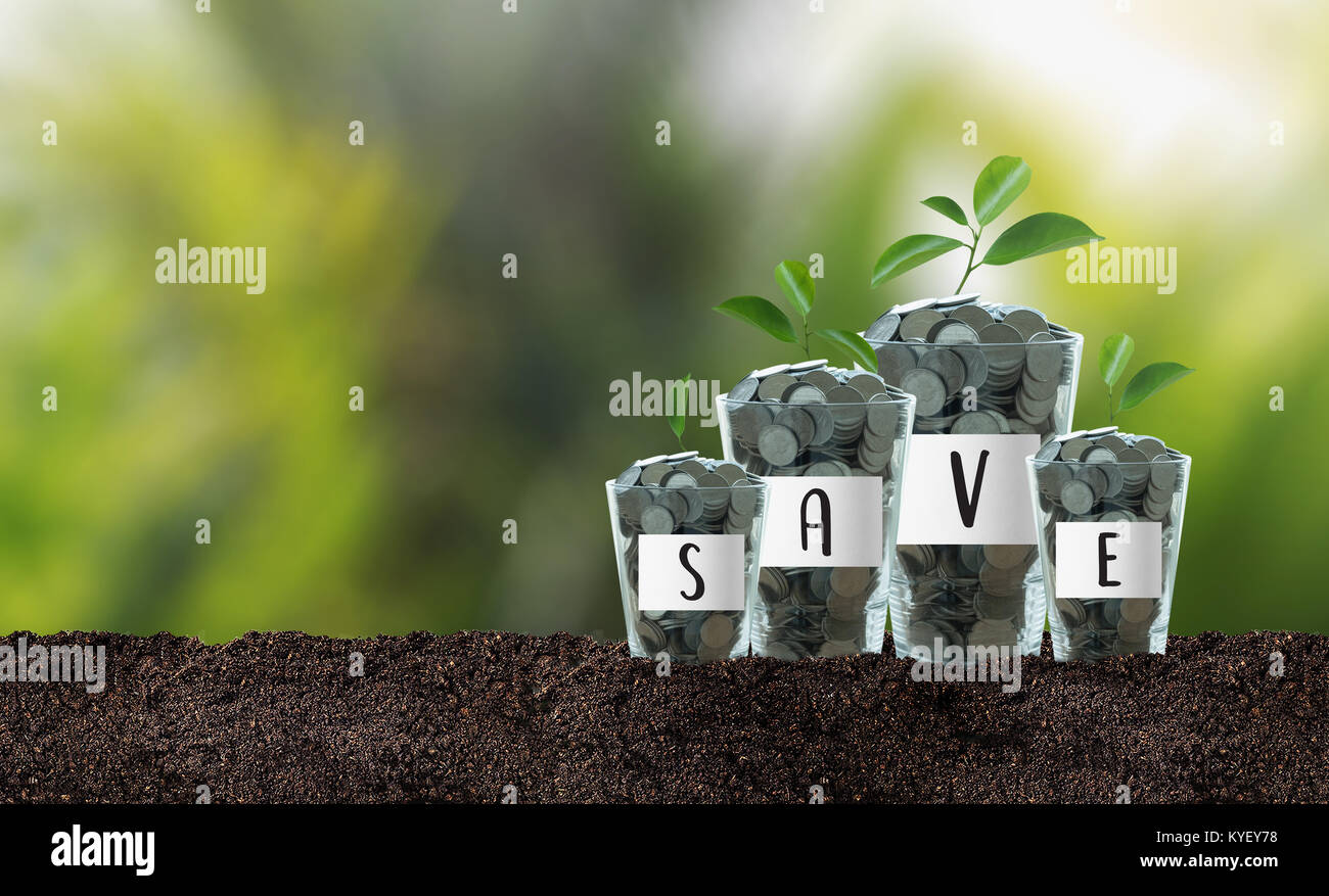 Money (coins) inscription "save" business, saving, growth, economic ...