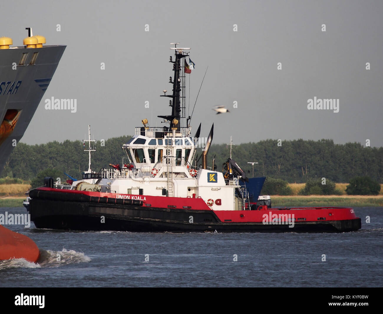 The Union Koala, a tugboat built in 2009, is photographed in its new ...