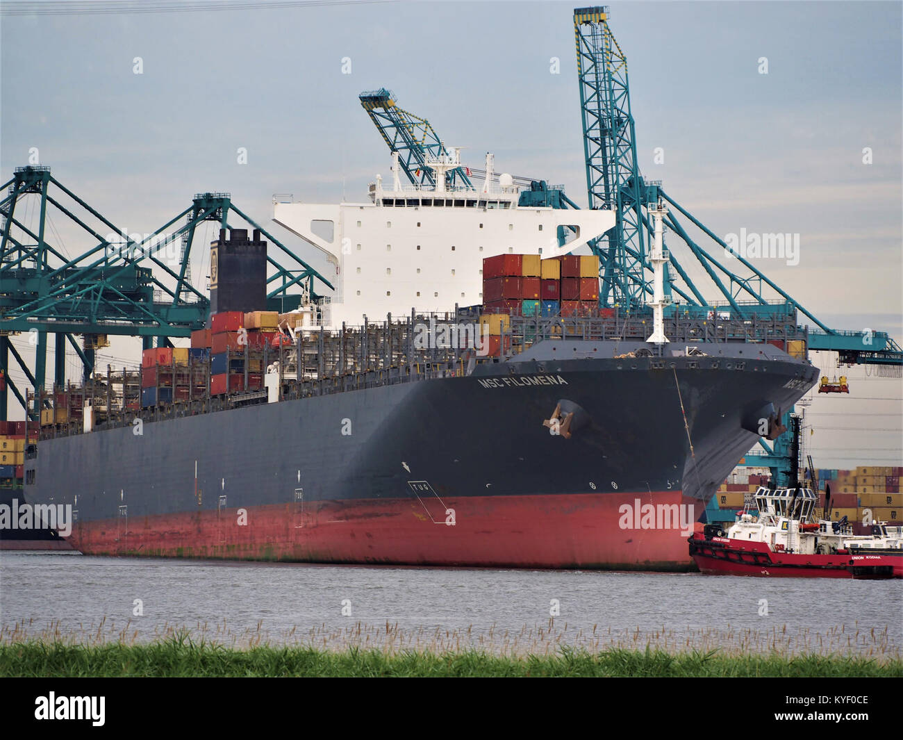 A photograph of the MSC Filomena, a container ship built in 2010 ...