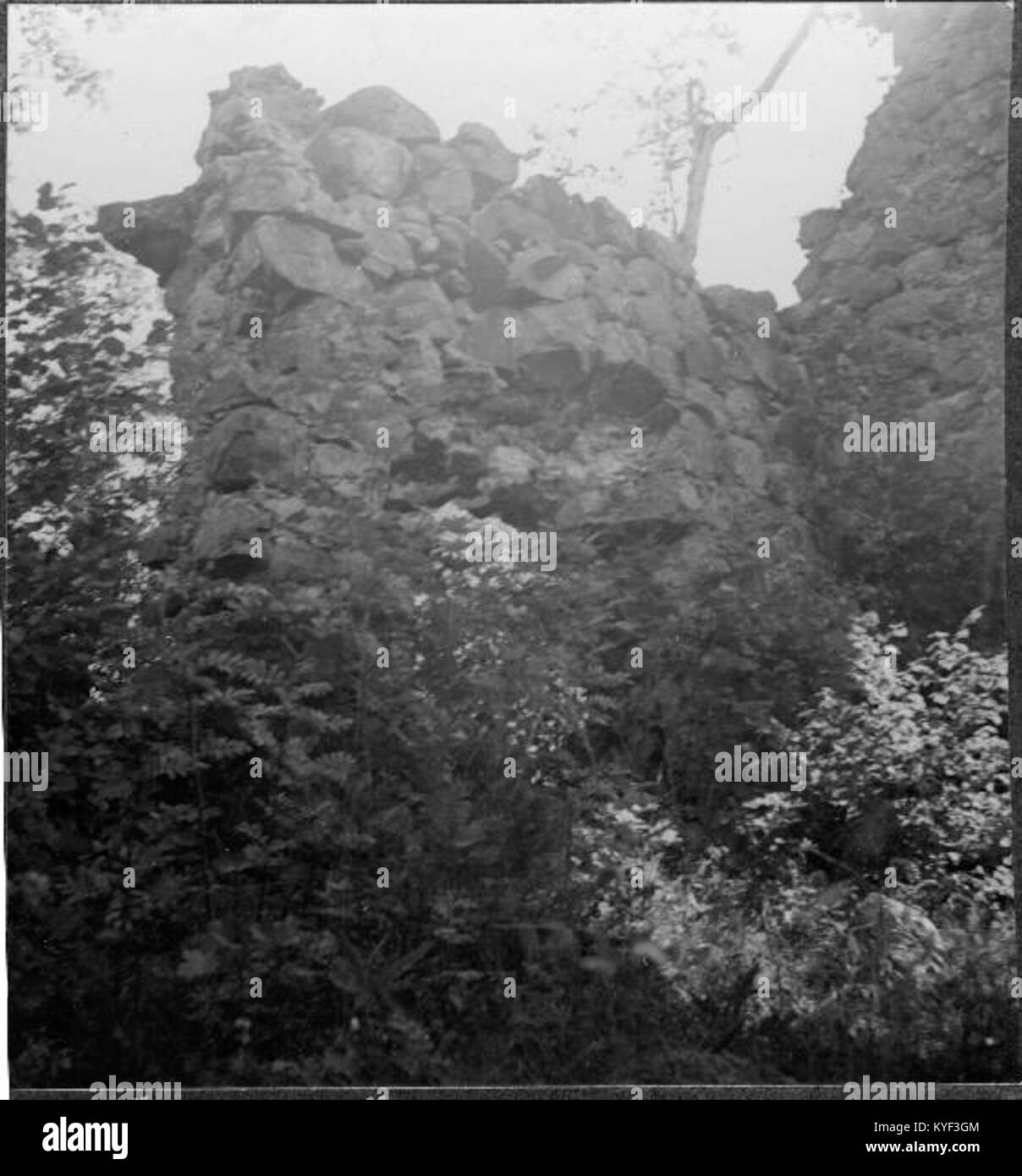 Västertryserums Church ruin in Sweden is a medieval historic site ...