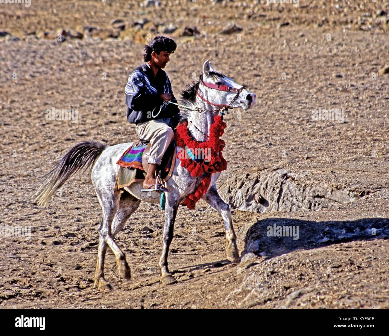 Balqa hi-res stock photography and images - Alamy