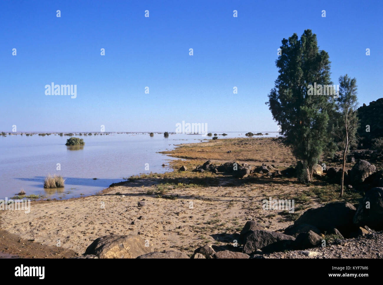 2306. Azraq Oasis, Zarqa Gov, Jordan Stock Photo - Alamy