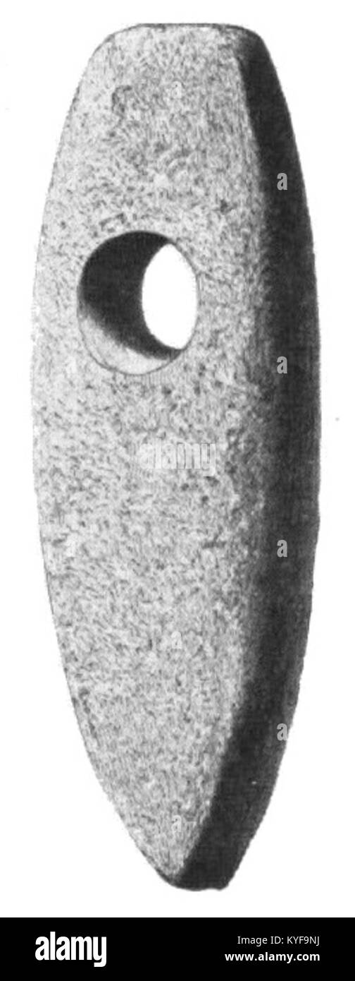 A historical description of a common late hafted axe, referenced in the ...