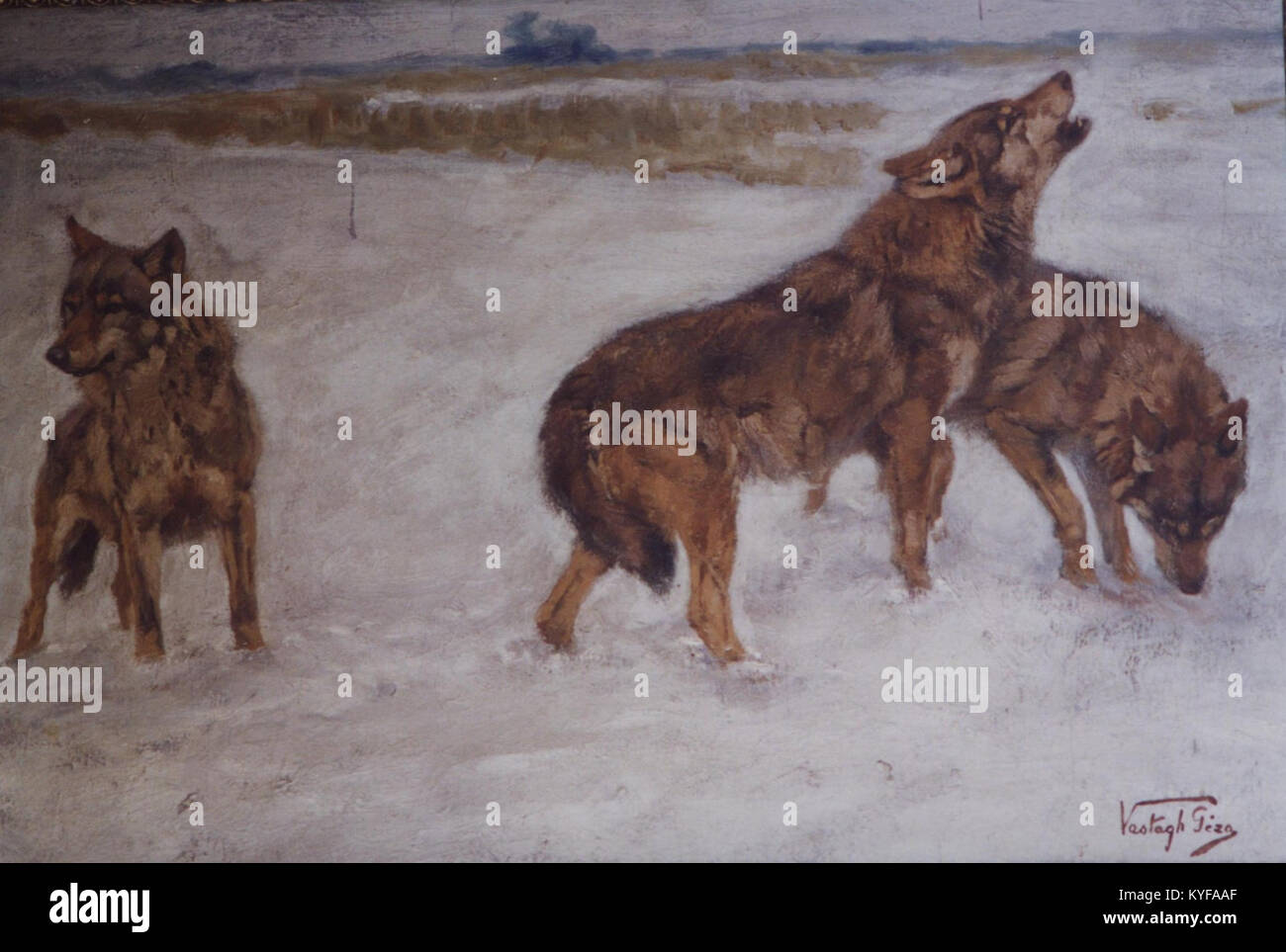 An image of Vastagh Gáza Farkasok, likely depicting a historical or ...