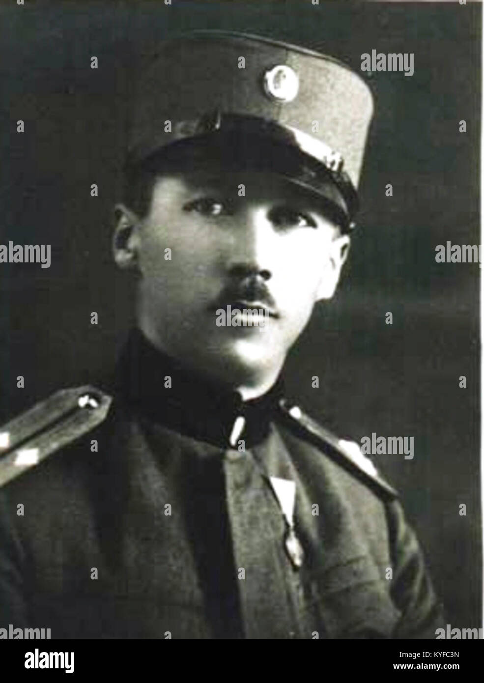 A focused representation of Viktor Rabic, likely emphasizing his work ...