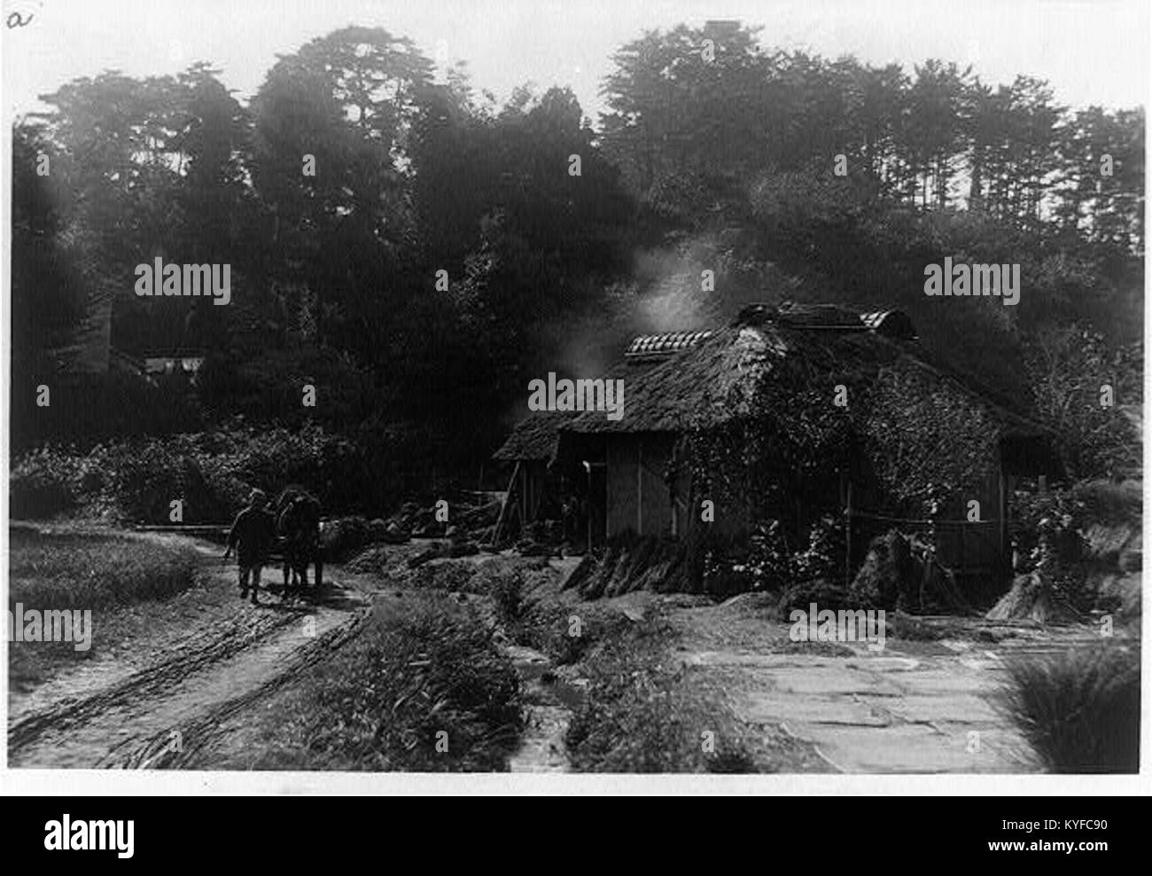 Traditional japanese farming Black and White Stock Photos & Images - Alamy