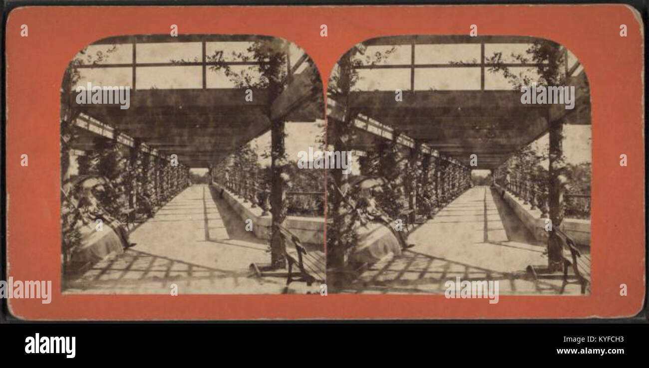 Robert vine photography hi-res stock photography and images - Alamy