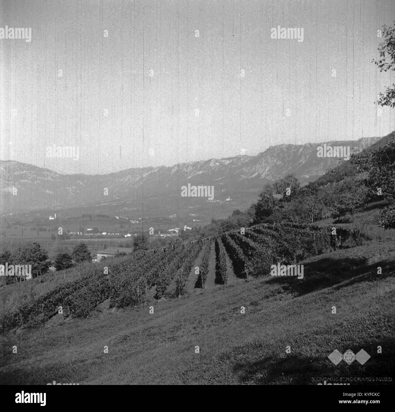 A photograph of Vinograd, Gradisce in 1958, documenting the landscape ...
