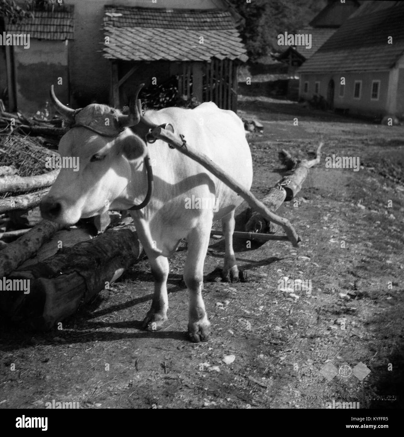 Vlake hi-res stock photography and images - Alamy