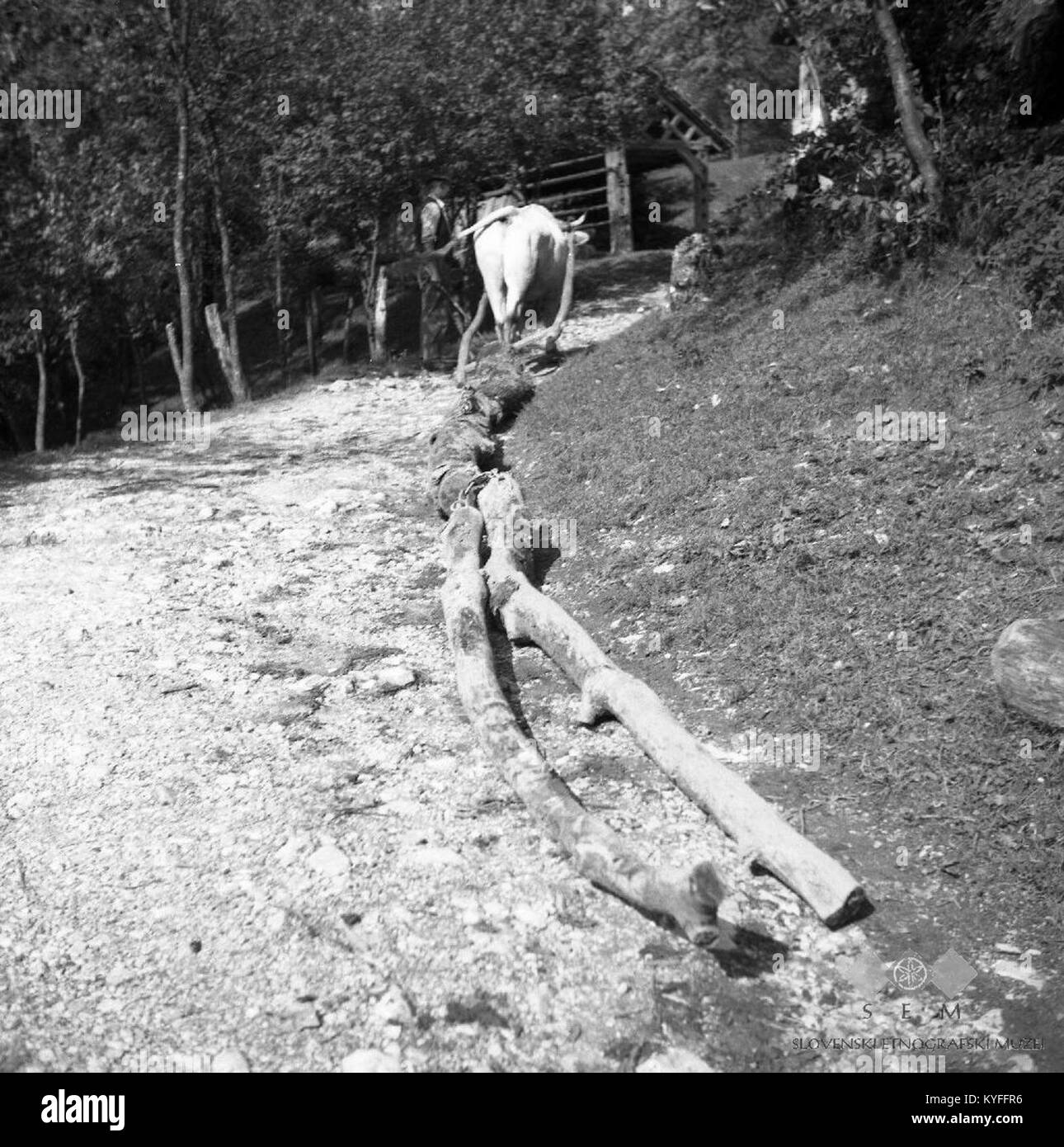 Vlake hi-res stock photography and images - Alamy