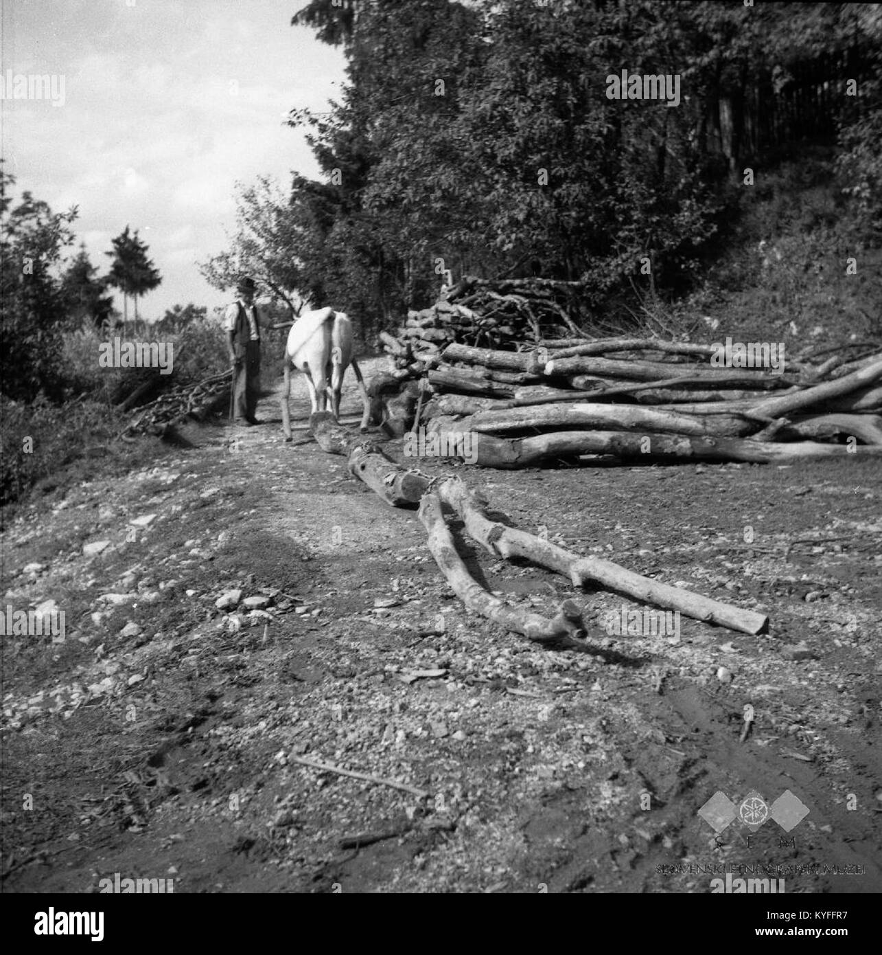 Vlake hi-res stock photography and images - Alamy