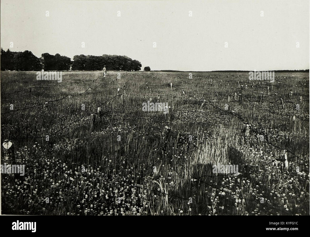 World war i obstacles hi-res stock photography and images - Alamy