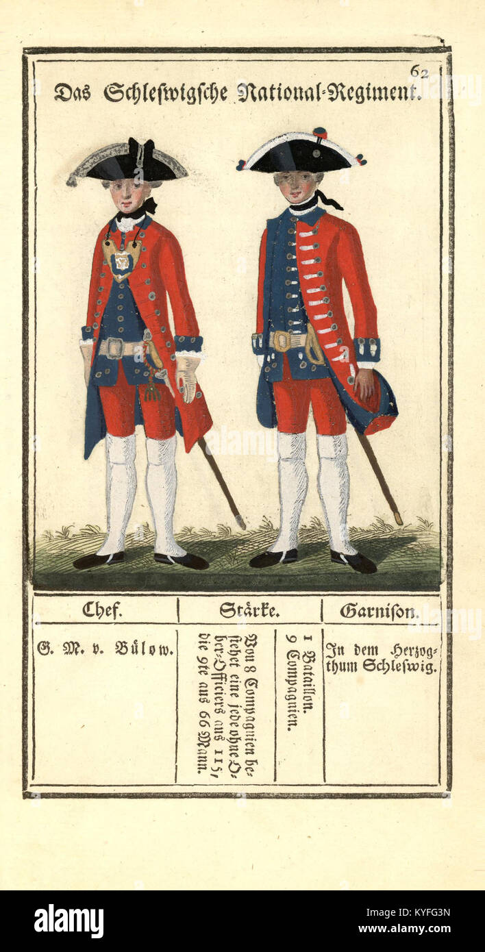 A historical document presenting the entire Danish Royal Army ...