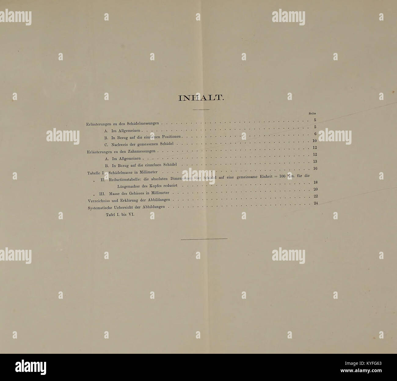 Pig domestication historical hi-res stock photography and images - Alamy