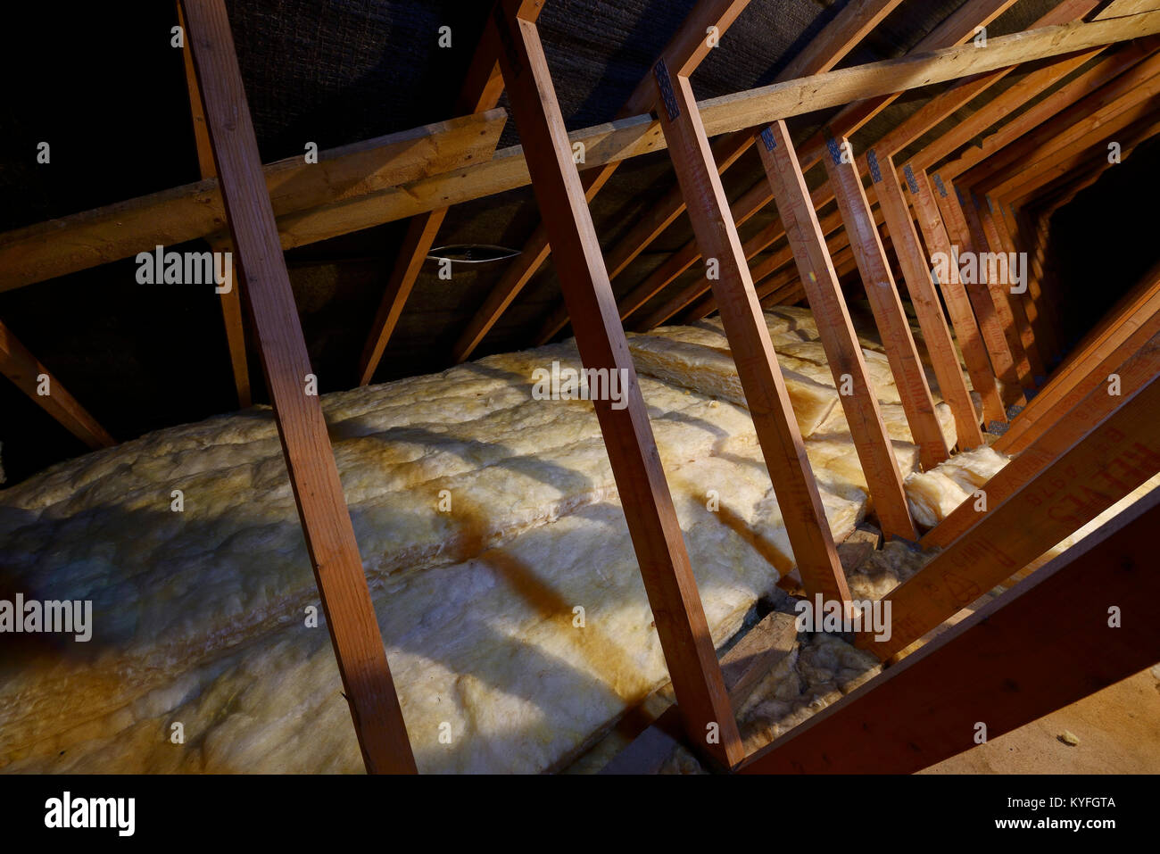 Interior of a domestic loft space showing the roof structure together ...