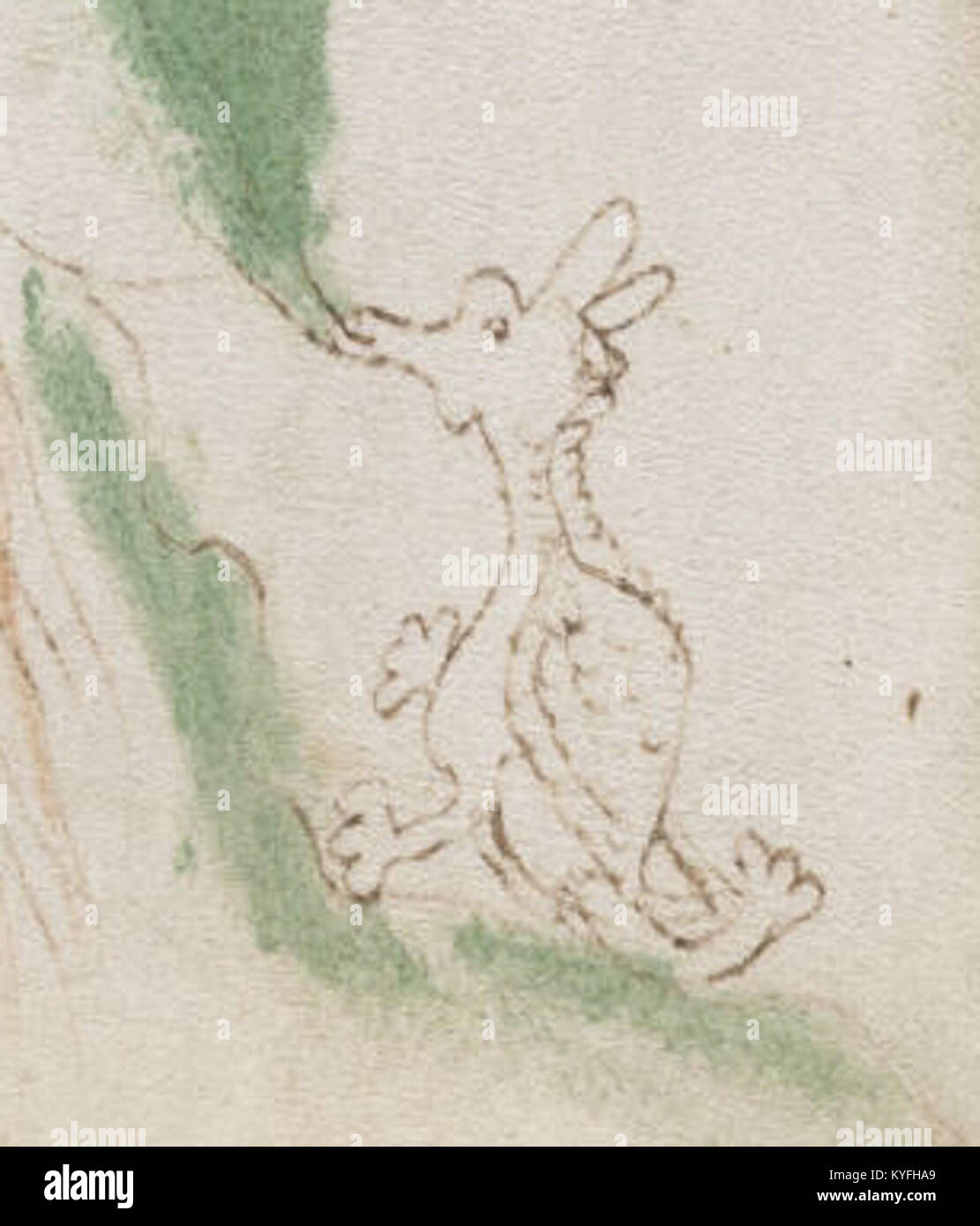 Manuscript dragon hi-res stock photography and images - Alamy