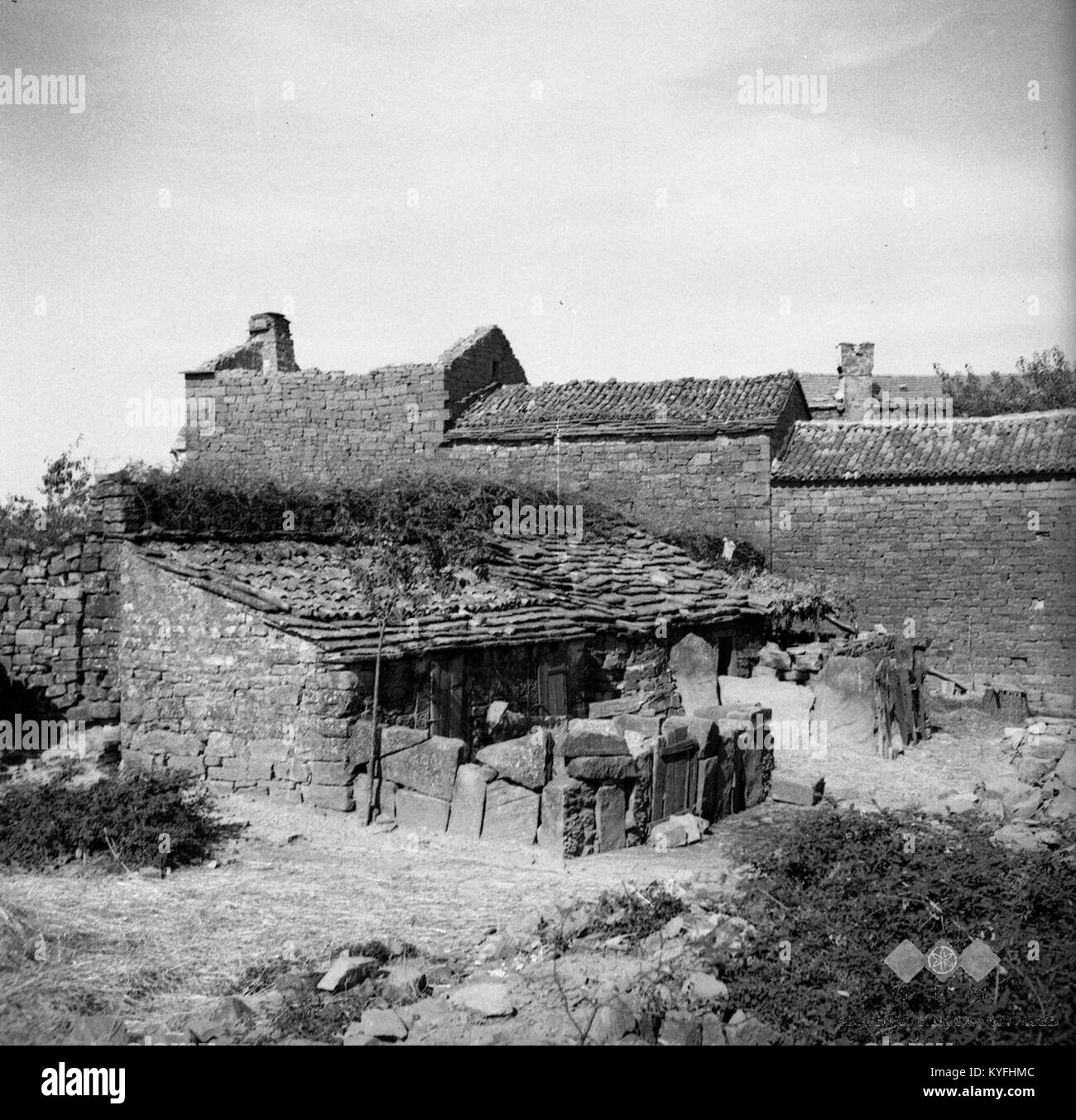 This image from 1950 shows a type of pen designed for pigs (sow pen) in ...