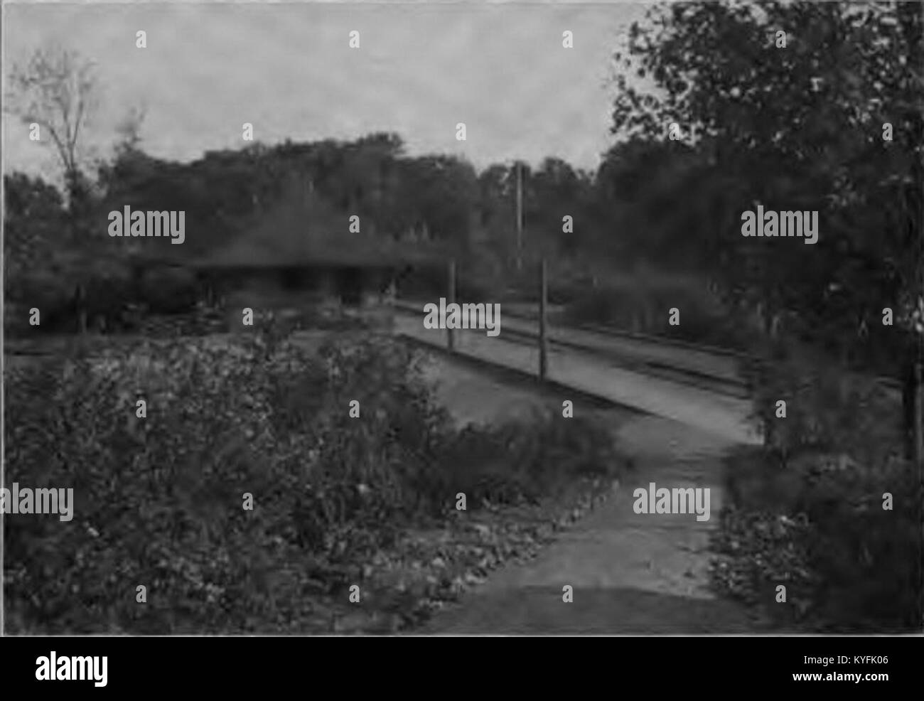 Waban massachusetts hi-res stock photography and images - Alamy