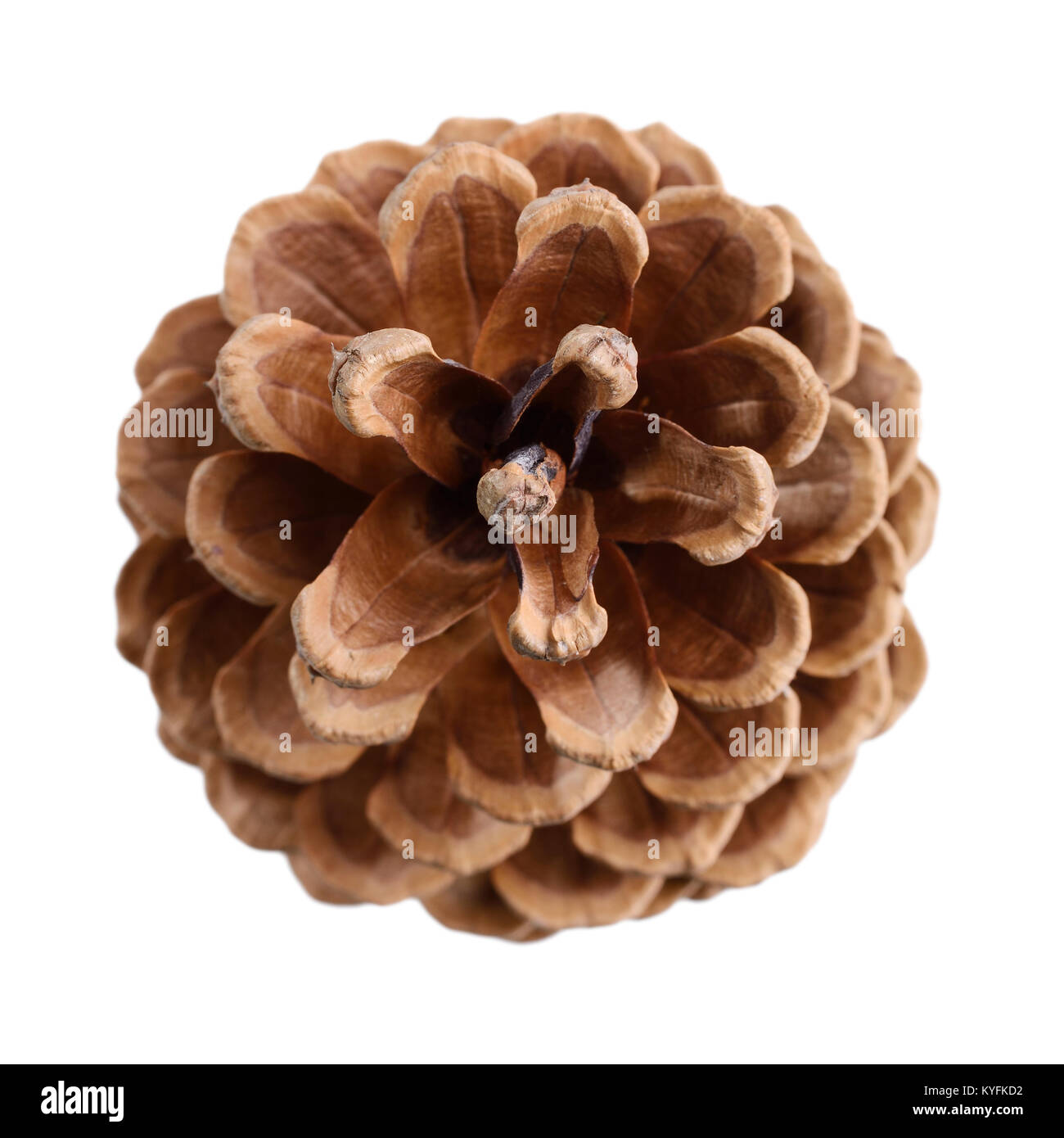 Overhead cone hi-res stock photography and images - Alamy