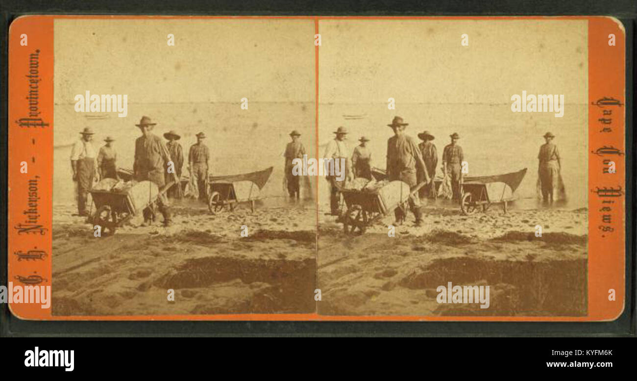 George g fish hi-res stock photography and images - Alamy